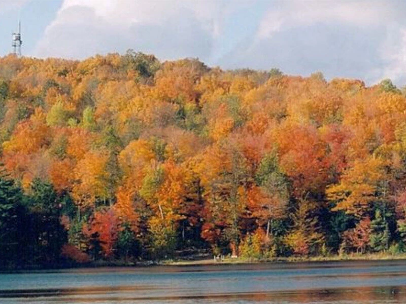 Timm's Hill Wisconsin's High Point for Fall Colors - Enjoy Price County, WI