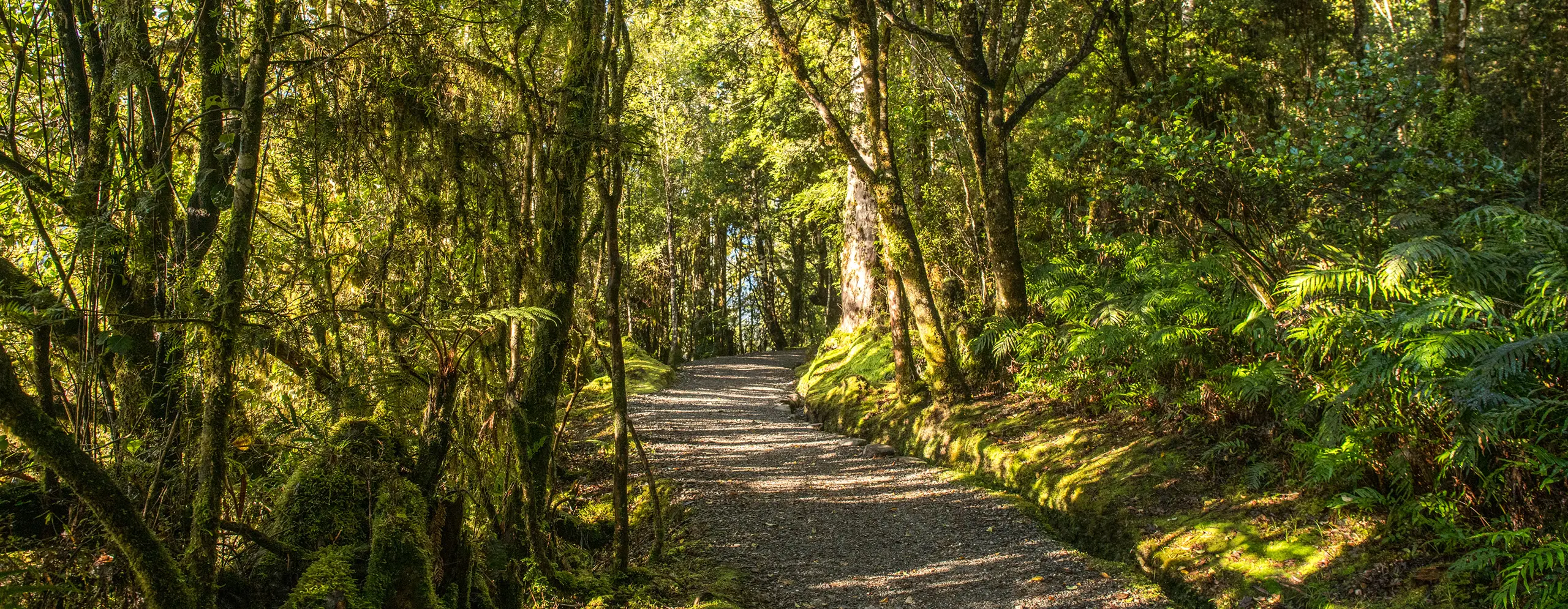 Trail Maps - Enjoy Price County, WI
